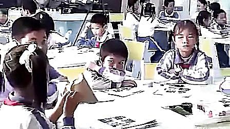 观察(执教:李铃南) 小学科学优质课示范课课堂实录集锦