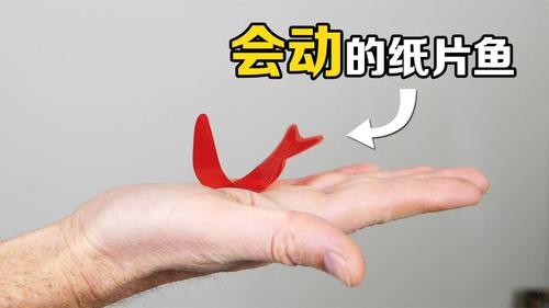 不可思议的“纸片鱼”,放在手掌上会自己游动,你知道原理吗?