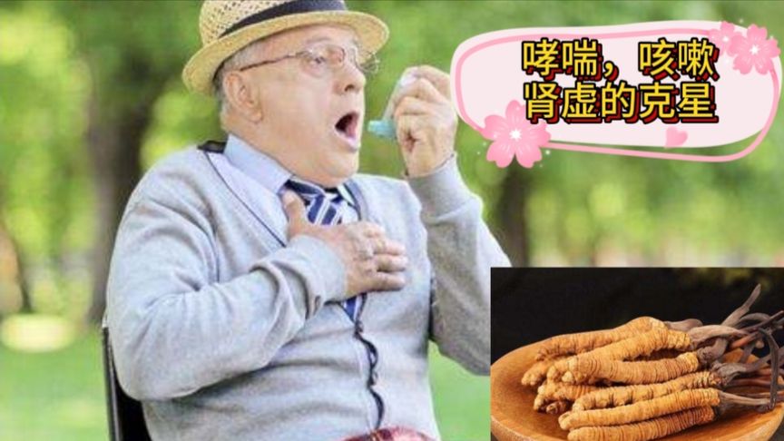 中药中的四不像,虫非虫,草非草,却是哮喘,肾虚的克星!