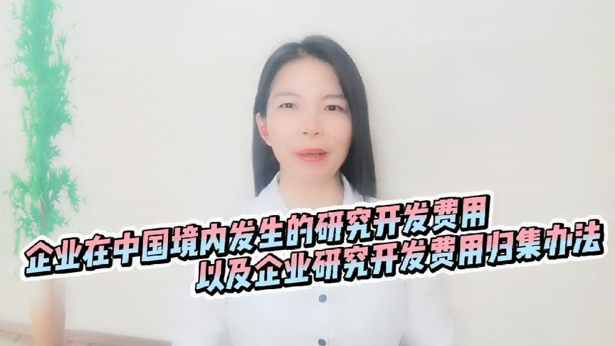 企业在中国境内发生的研究开发费用以及企业研究开发费用归集办法