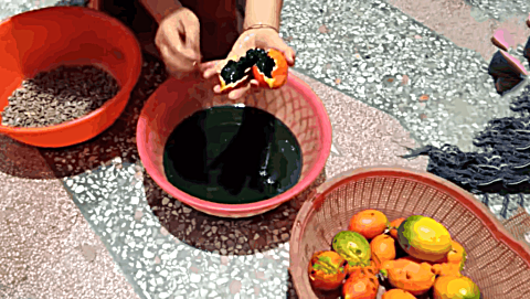 农民种橘子流出了“石油”, 一年白赚800万, 到底怎么回事?