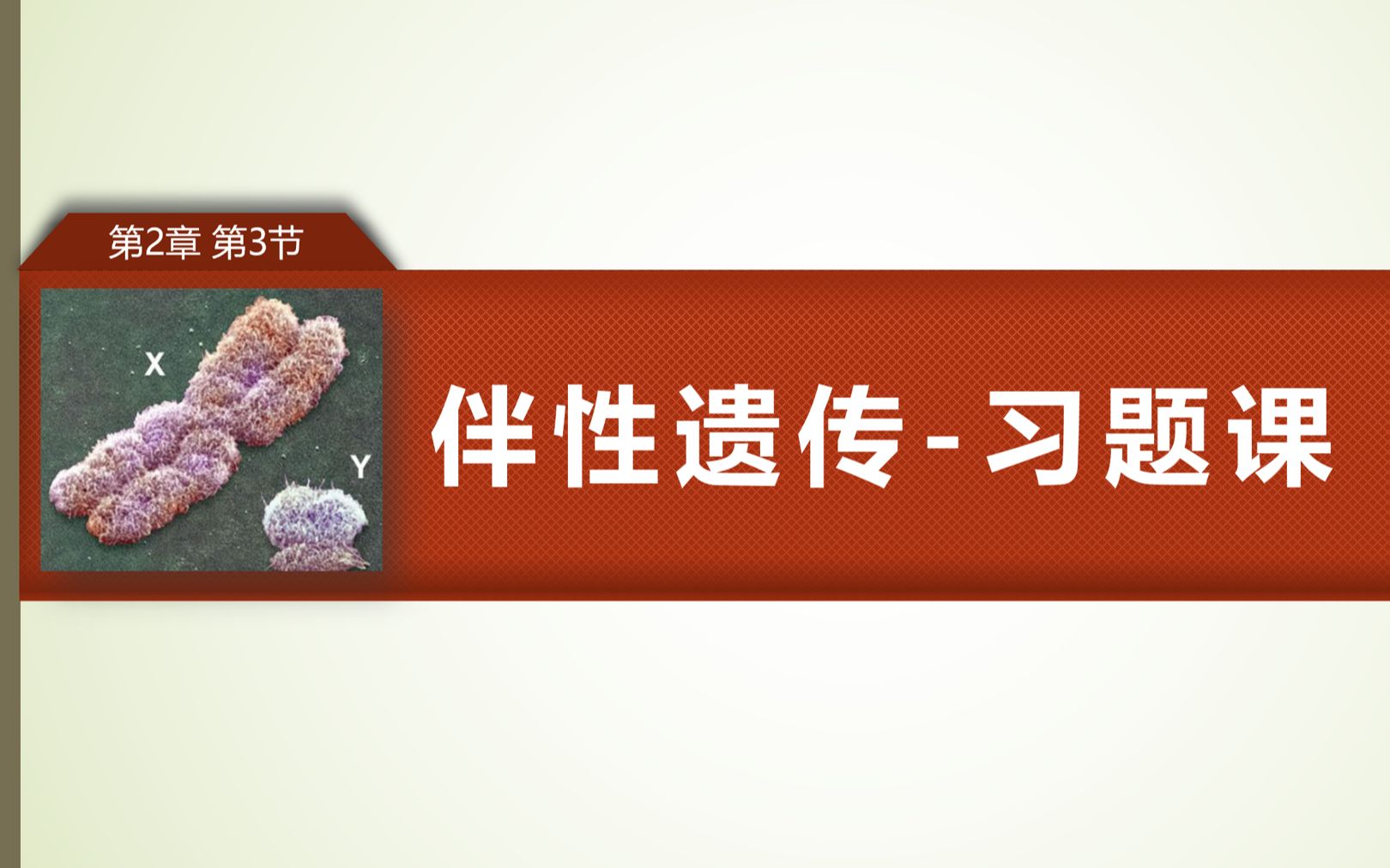 2.3伴性遗传-习题课