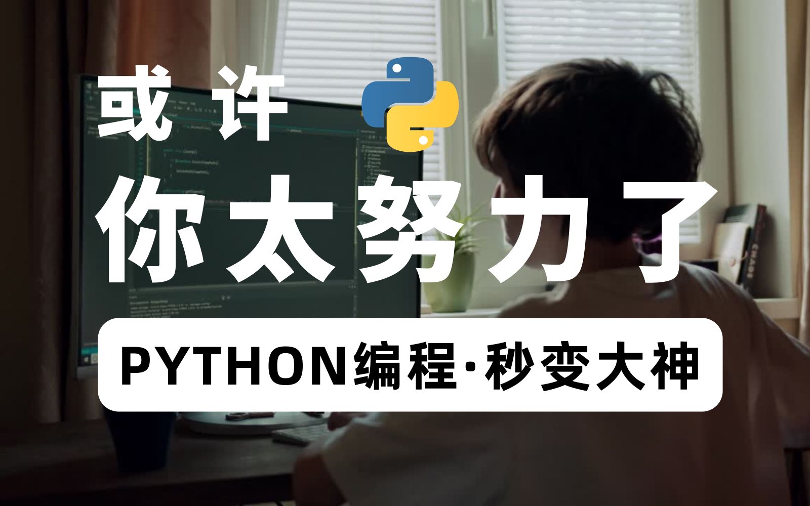 ...」自学编程99天,我失去了这些。或许,可以更轻松的。Python教程丨...