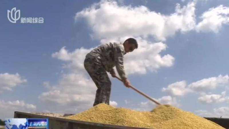 人民日报公众号:中国靠什么养活14亿人?