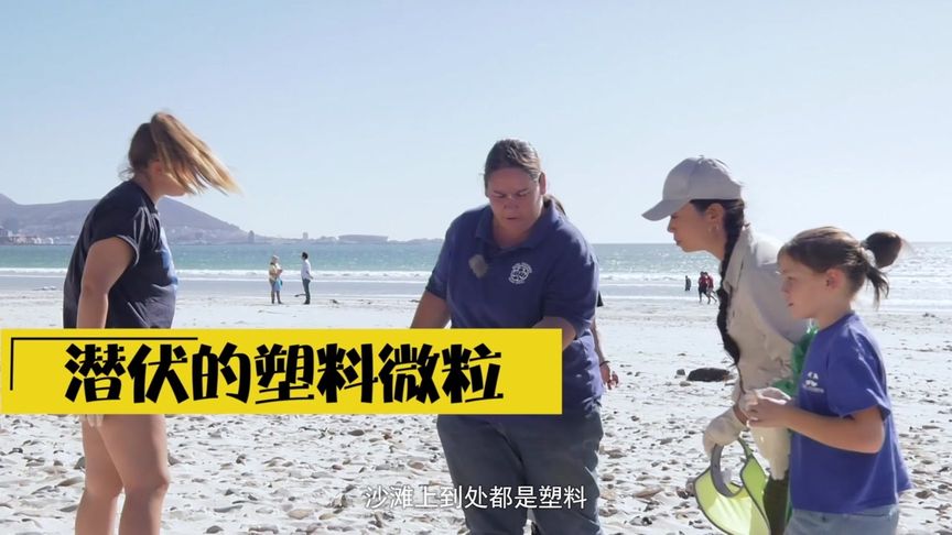 海豚成长记:塑料对海洋动物的危害,保护环境,人人有责