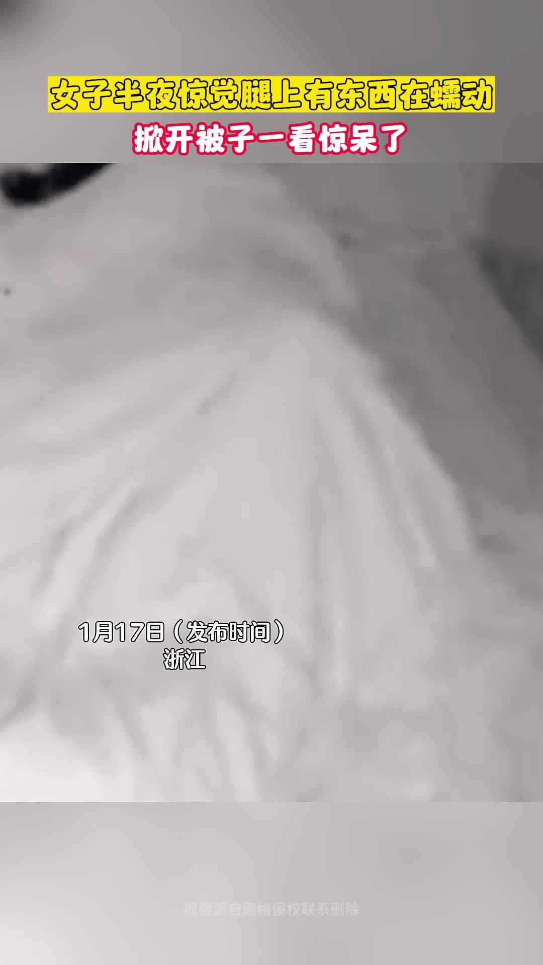 女子半夜惊觉腿上有东西在蠕动,掀开被子一看惊呆了