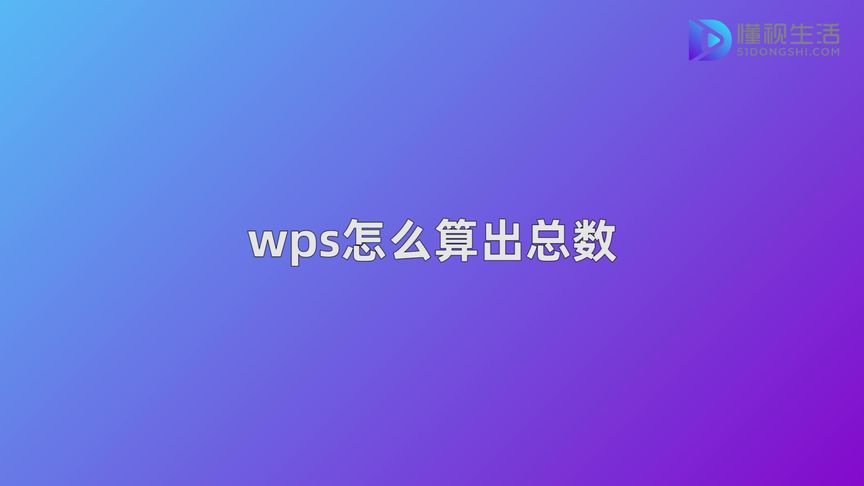 wps怎么算出总数