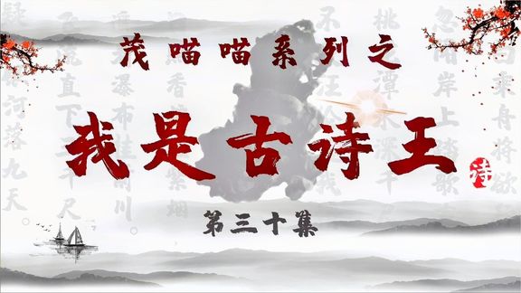 茂喵喵课堂系列:我是古诗王第三十弹,小男孩的表演真精彩!