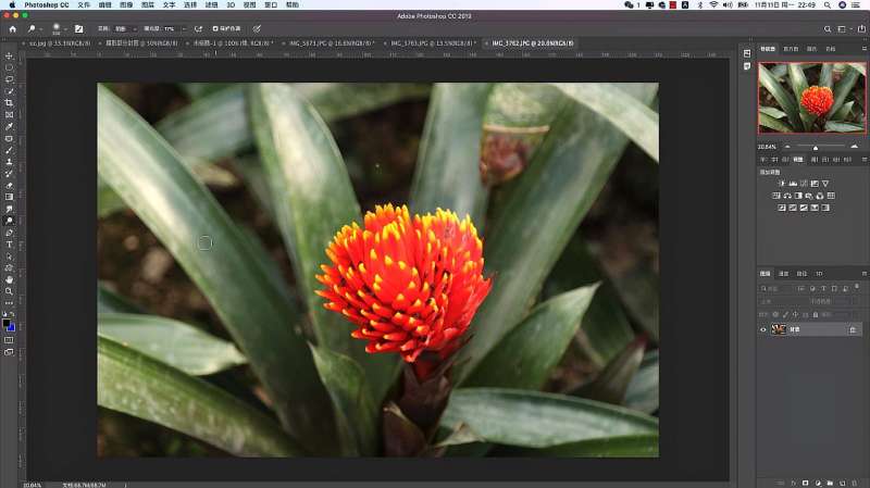 「PS教程」轻松学Photoshop(第21集)PS减淡加深工具、海绵工具