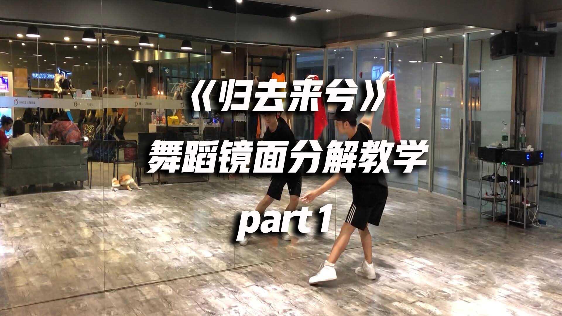 【口袋教程】白小白编舞《归去来兮》舞蹈镜面分解教学 part1