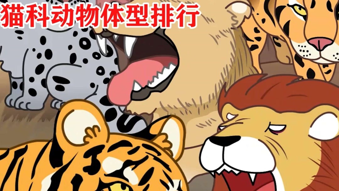 摩登大自然 第一百五十集 猫科动物体型排行榜~