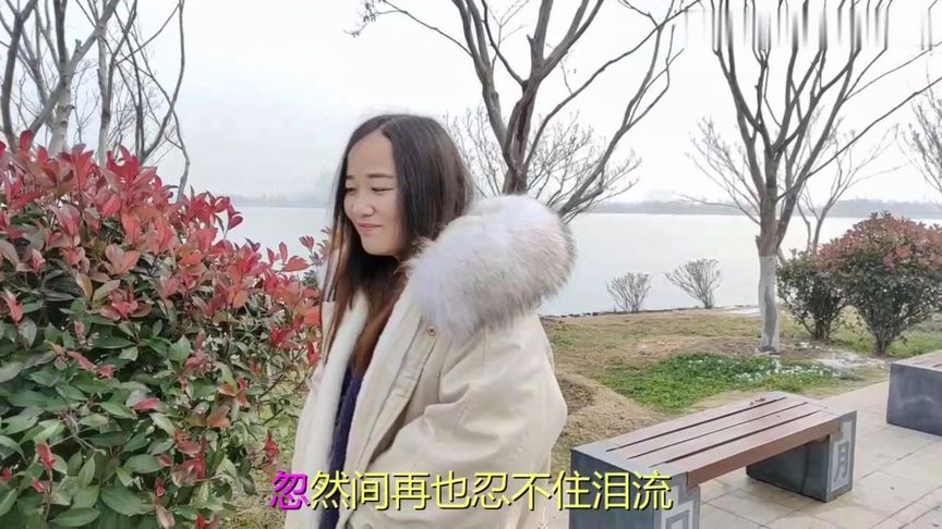 经典好歌曲,一首《田震-干杯朋友》伤感醉人,唱哭无数有情人
