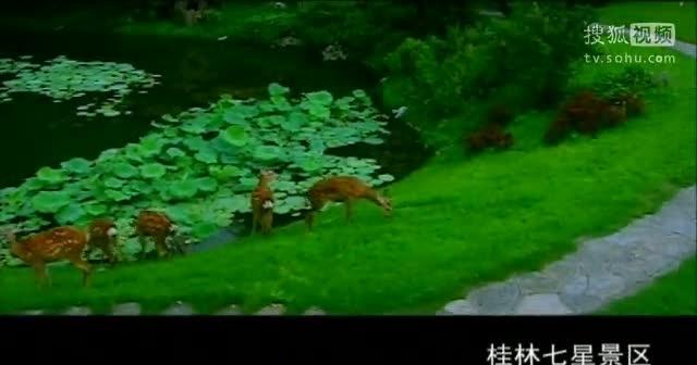 桂林旅游重点景区宣传片