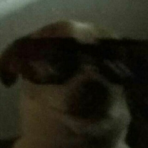 厕所外 