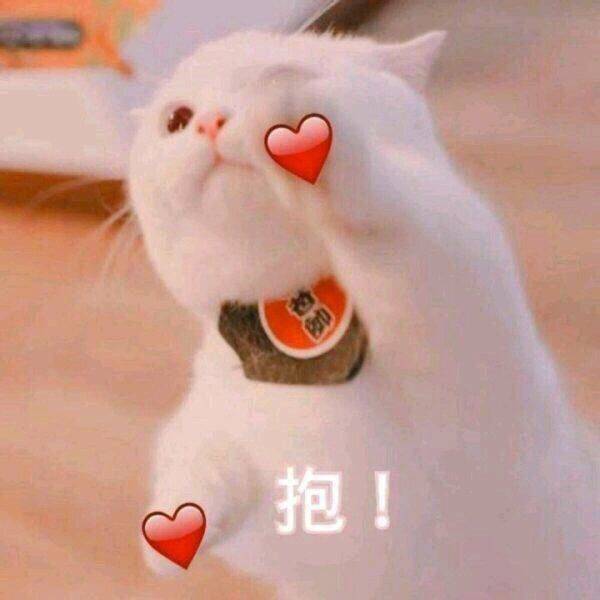小恐龙玩娱乐 
