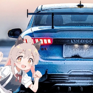 车神刘某人 