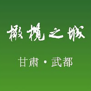 陇南武都发布 