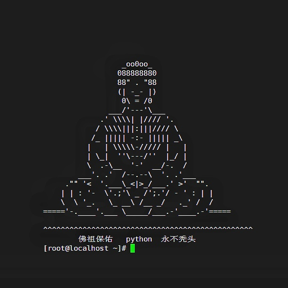 Python青少年编程 