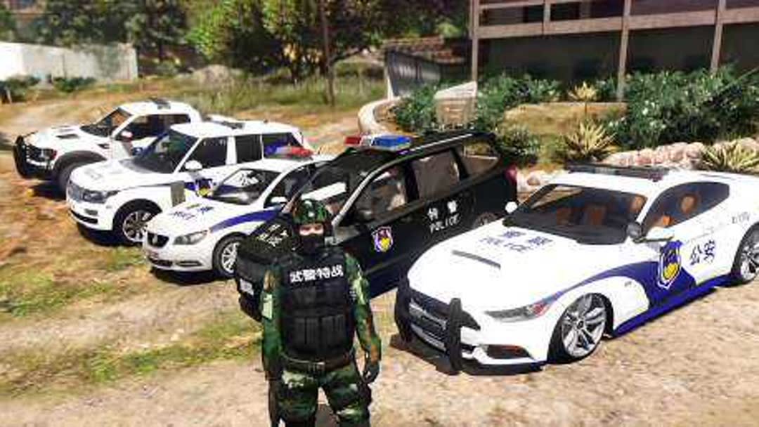 GTA5 模拟警察 警车大展览,小伙伴最喜欢哪辆