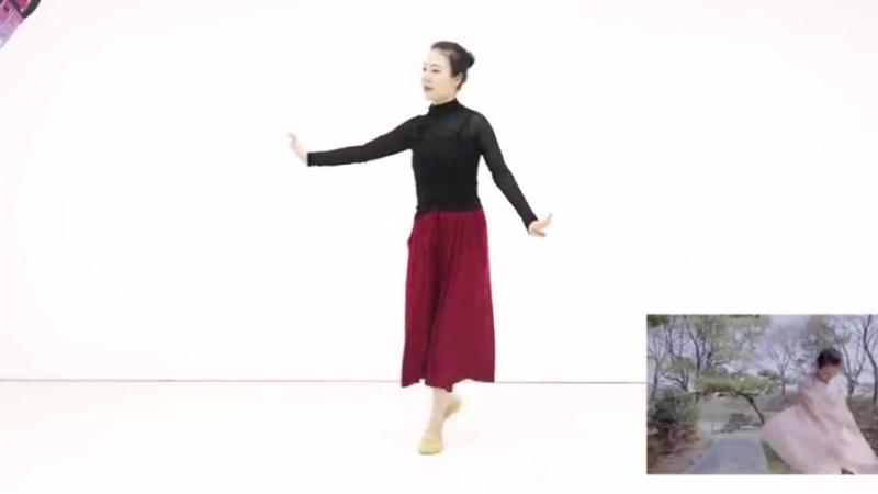 中国舞:琵琶行舞蹈视频,分解教学