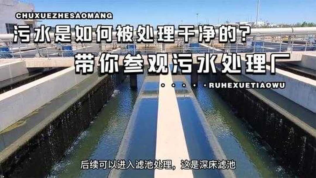 污水是如何被处理干净的呢?