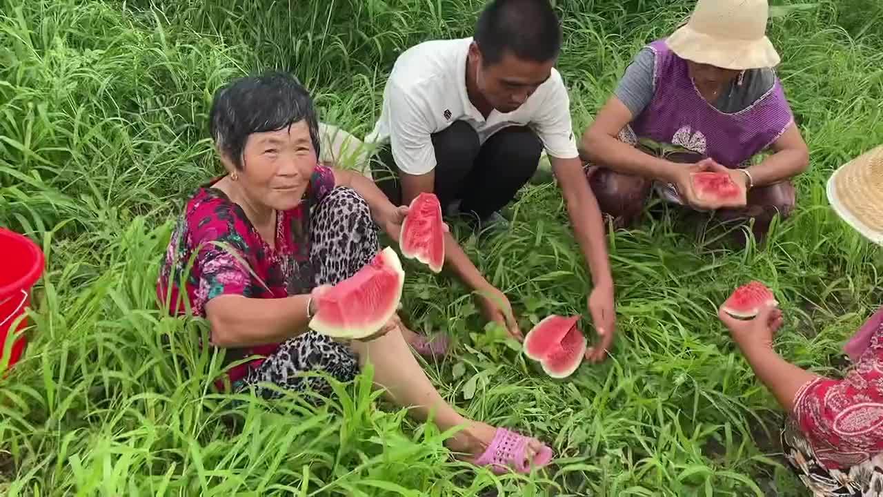 梨子全部成熟了,来到果园看到果农们满身都是汗水,高温天气真的太...