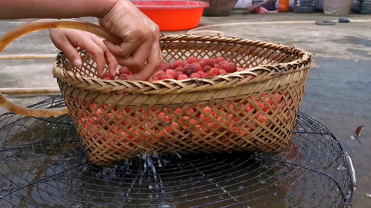 杨梅干特殊制作方法,吃起来酸酸甜甜,保你一年四季都能吃到杨梅