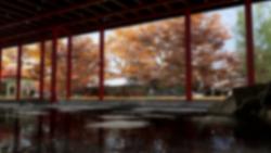 【Su+D5】日本枫叶庭院场景建模展示