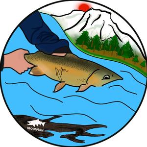 溪流路亚放流派 