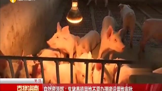 自然资源部:生猪养殖用地不需办理建设用地审批