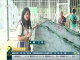 [环球财经连线]缅甸翡翠公盘开幕 当局严控开采 高品质翡翠价高料少