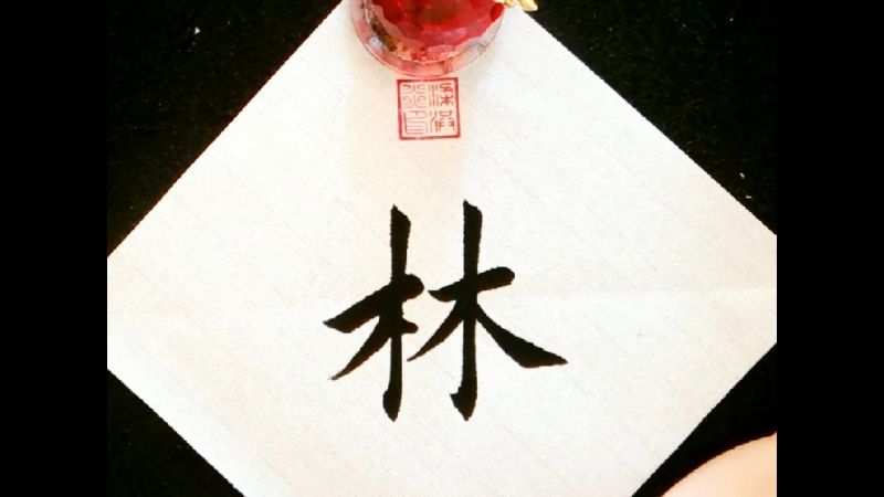 书法作品欣赏,毛笔字入门教学视频,百家姓毛笔楷书(林)