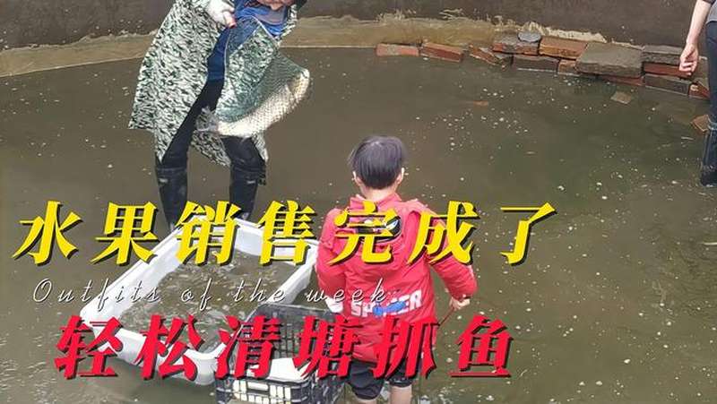 完成销售任务,一身轻松的去捉鱼!#助力三农#乡村田园生活