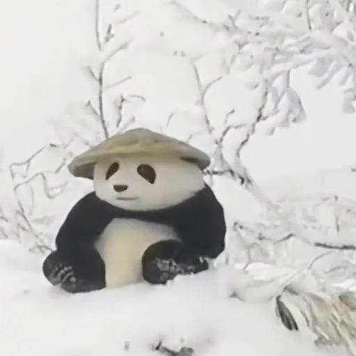 子瞻丄了李白的轻舟 