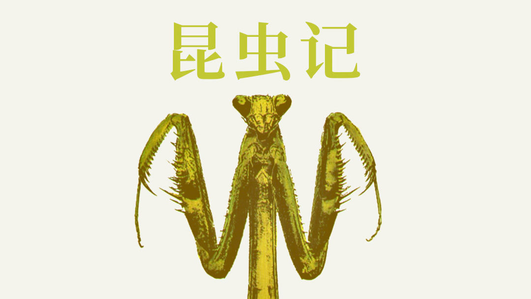 昆虫记1:五彩缤纷的小精灵们