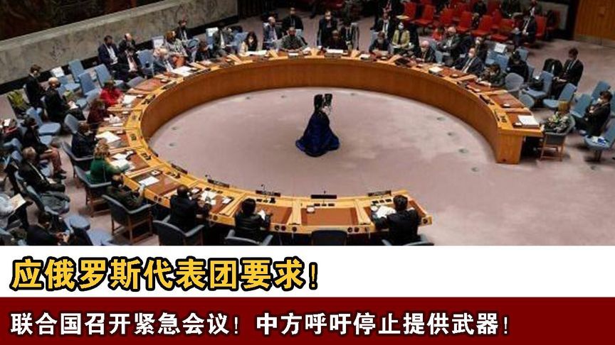 应俄罗斯代表团要求!联合国召开紧急会议!中方呼吁停止提供武器