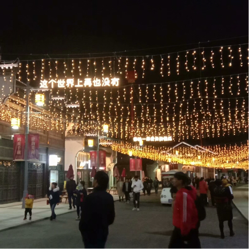 阜城小柳 