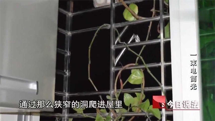 自家房门突然打不开,主人求救强行开锁,开门却被吓傻了