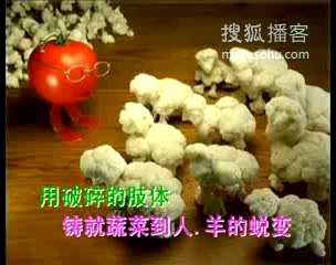 友立会声会影10项目文件.VSP.1