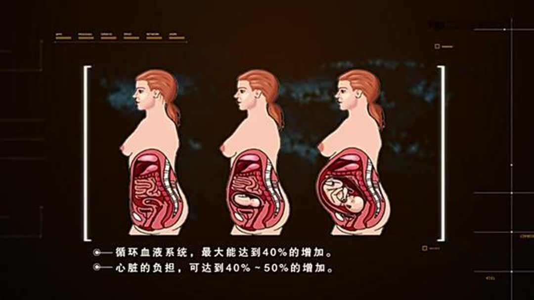 生殖健康知识:4. 健康宝贝计划:妊娠的基本概念