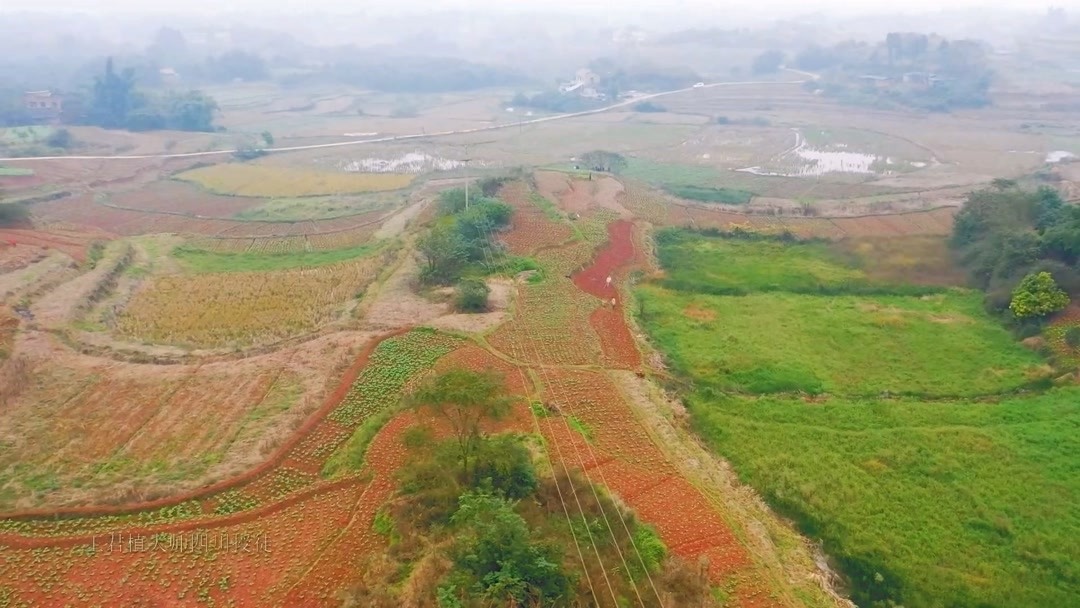 风水大师王君植带弟子四川风水教学看伏地蟒,风水培训课视频公开