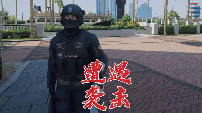 日常警察模拟器 巡逻时发现一个醉汉 袭击我直接逮捕