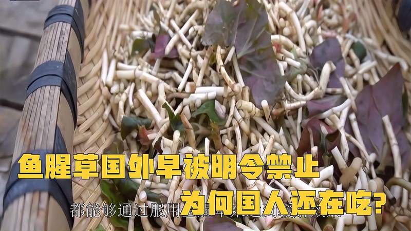 鱼腥草含“一级致癌物”,国外早被明令禁止,为何国人还在吃?