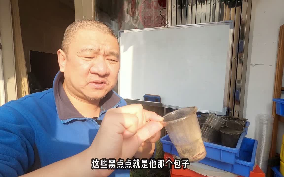 园艺人准备做多菌灵对比实验用的材料,时间久了都忘记了!