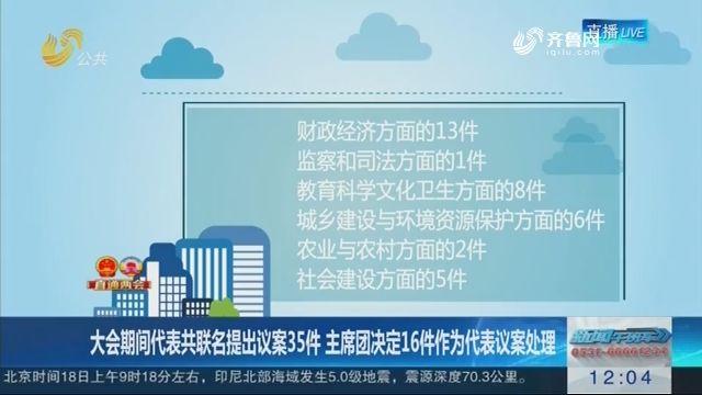 大会期间代表共联名提出议案35件,主席团将16件作为代表议案处理