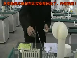 试题8、用PH试纸测定未知溶液的酸碱度