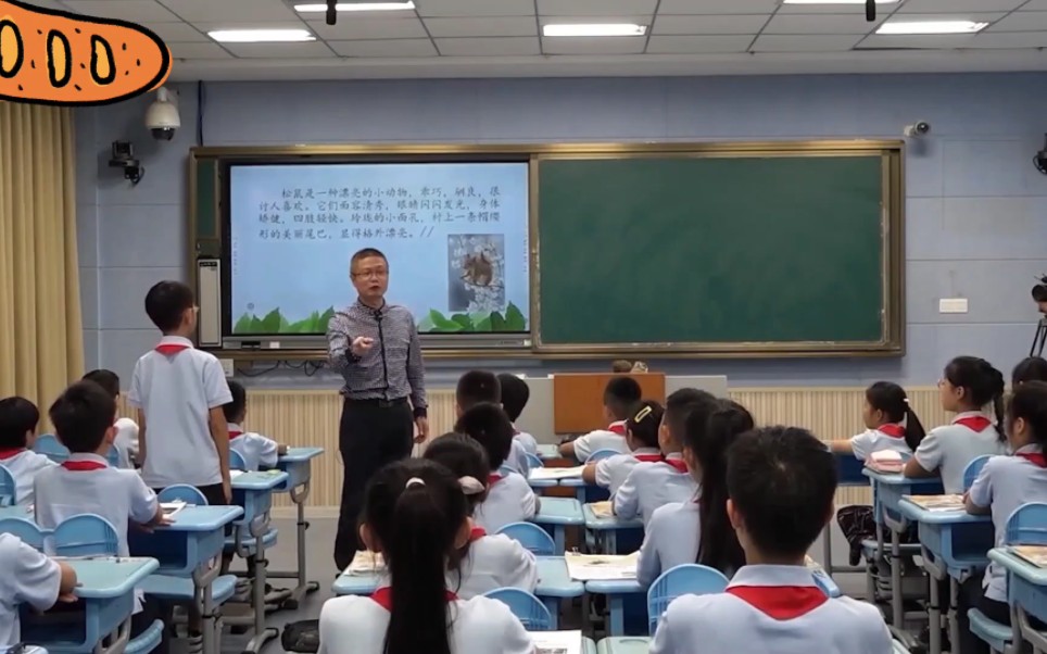 五上《松鼠》(含)【新课标大单元任务群示范课】【公开课优质课】(...