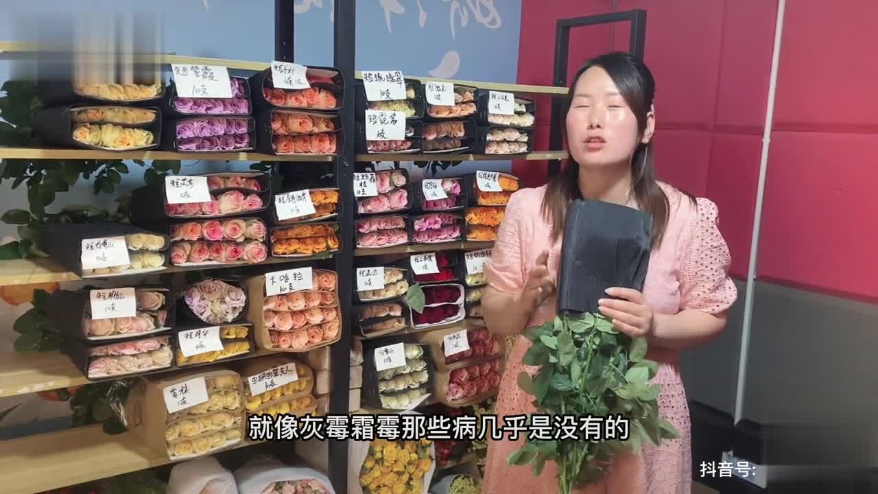 娇泽花卉 鲜花 大基地无土栽培全程采后处理的玫瑰,现在这个季节只要...