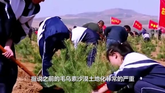 蚂蚁森林真的有森林吗?全球首个沙漠变绿洲,6年努力终成现实!