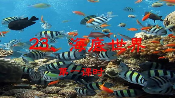 部编人教版三年级语文下册第23课《海底世界》第一课时
